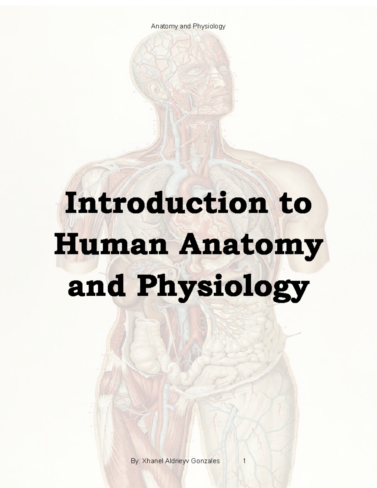 Introduction to Anaphy - Introduction to Human Anatomy and Physiology ...