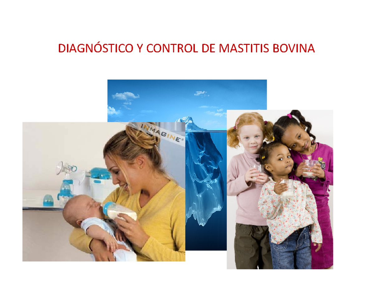 Diagnóstico, Control y Tratamiento de Mastitis - DIAGNÓSTICO Y CONTROL DE MASTITIS BOVINA ...