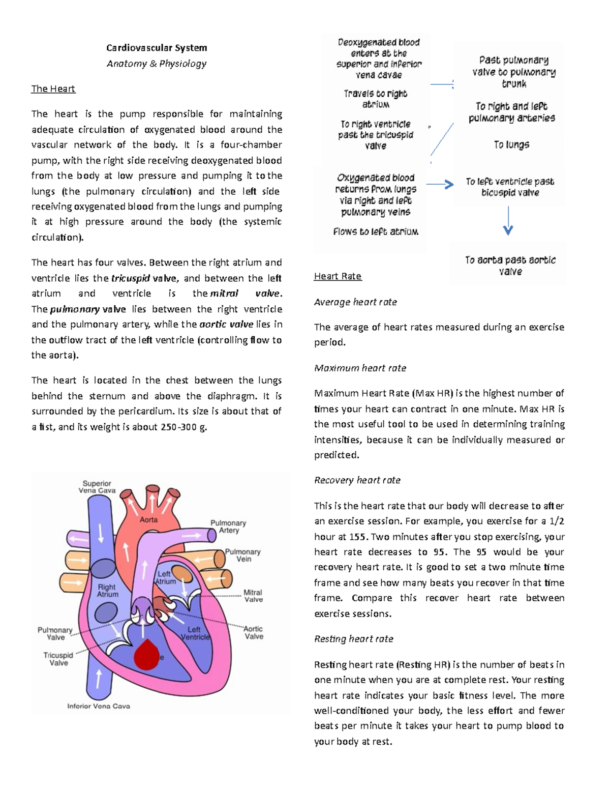 Cardiovascular System - Cardiovascular System Anatomy & Physiology The ...