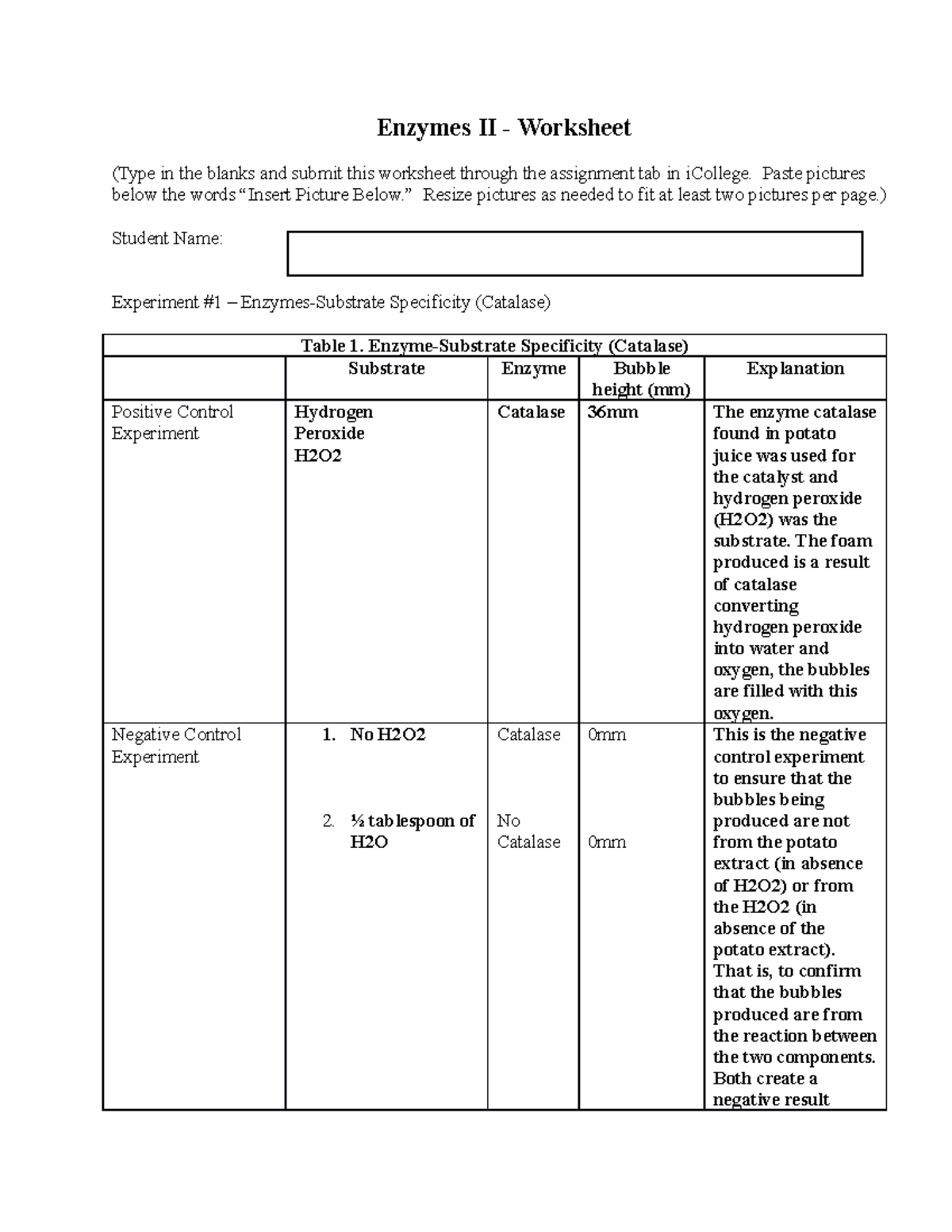 Enzymes II Worksheet - Lab - Enzymes II - Worksheet (Type in the blanks ...