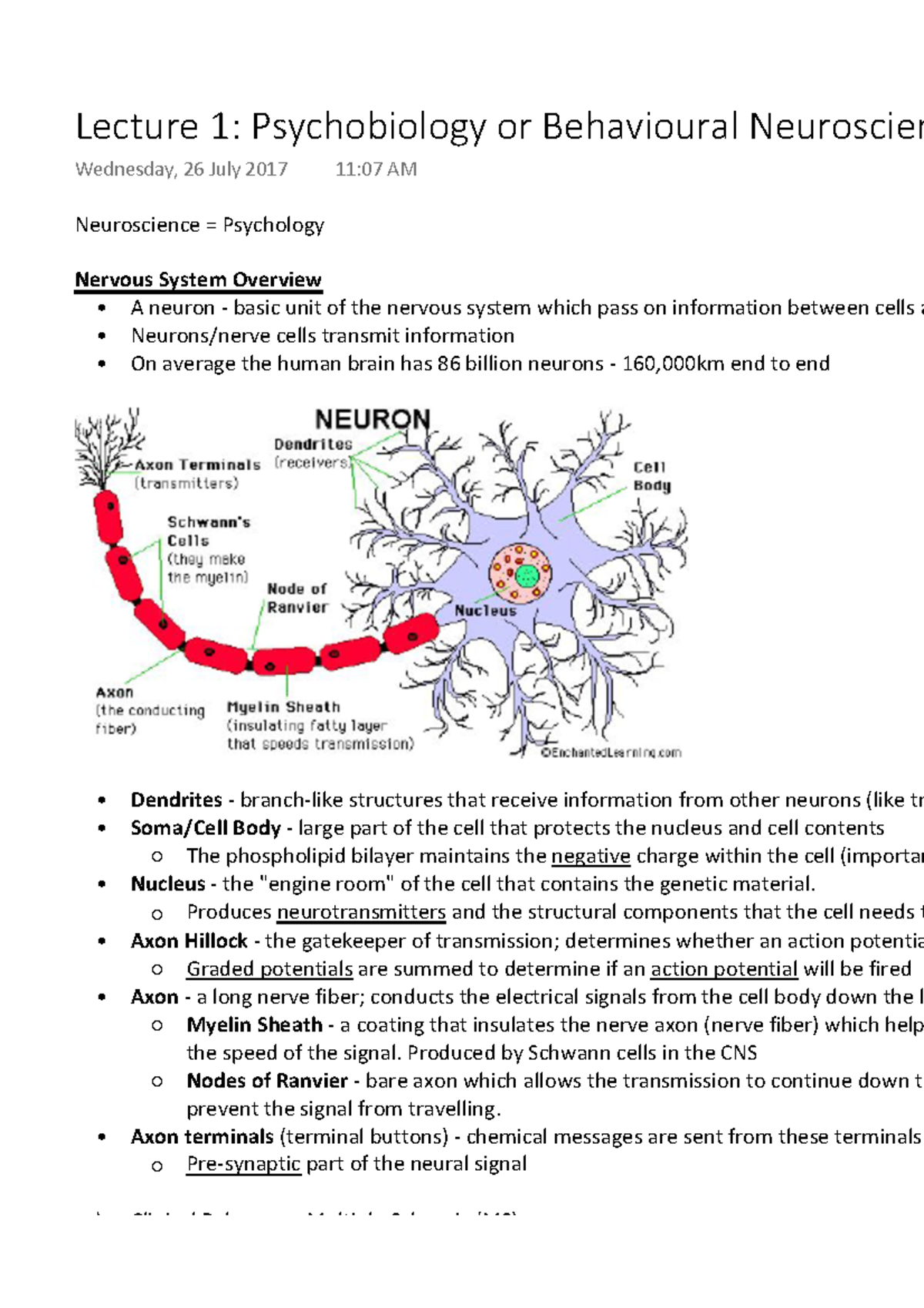 Lecture 1 Psychobiology or Behavioural Neuroscience - Warning: TT: undefined function: 32 - Studocu