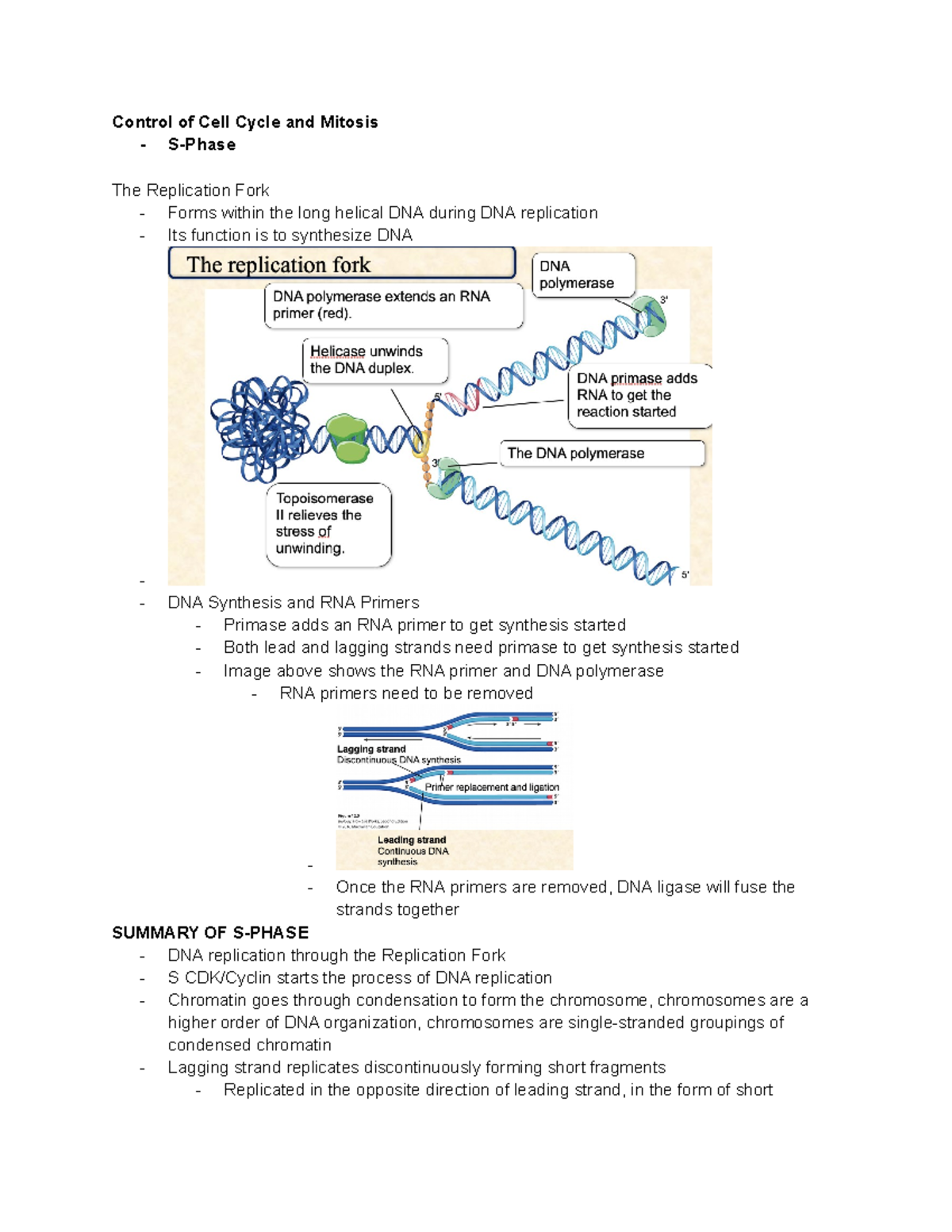 Lecture 19 Cell Cycle III - Control of Cell Cycle and Mitosis - S-Phase ...