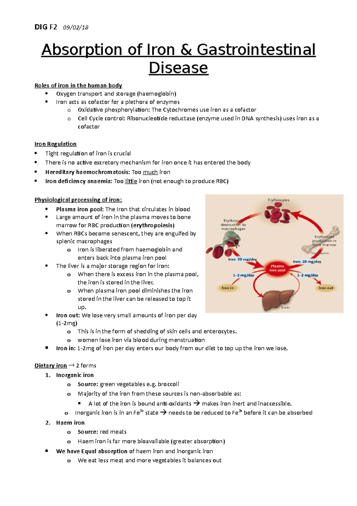 L09 Absorption of Iron in GIT - Absorption of Iron & Gastrointestinal ...