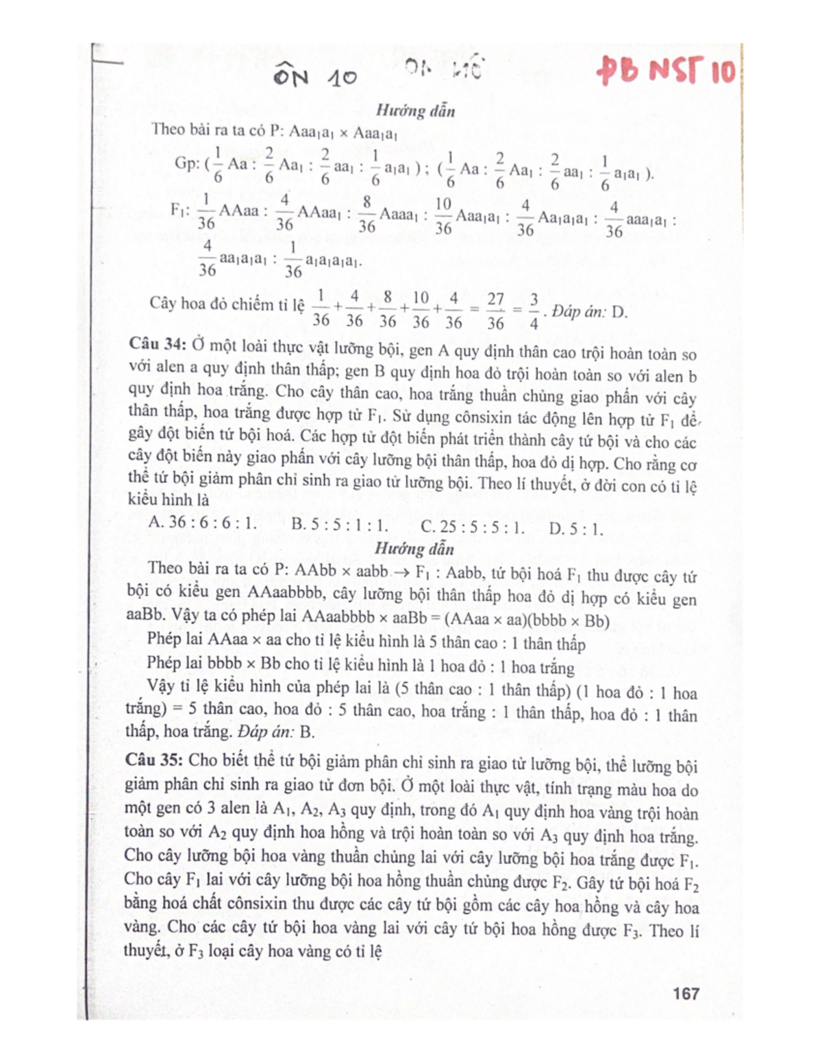 ĐỘT BIẾN NST-P10 - ĐỘT BIẾN NST - ON 10 1 PB NST 10 Huong Theo bài ra ta có P: 36 36 4 - Studocu