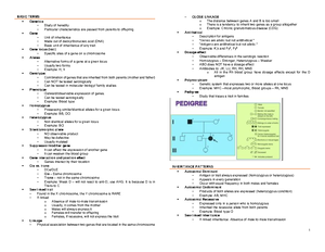 LINE- Loads - LINE - V. LINE LOAD ANALYSIS BEAM MARK: B FLOOR LOADS TO ...