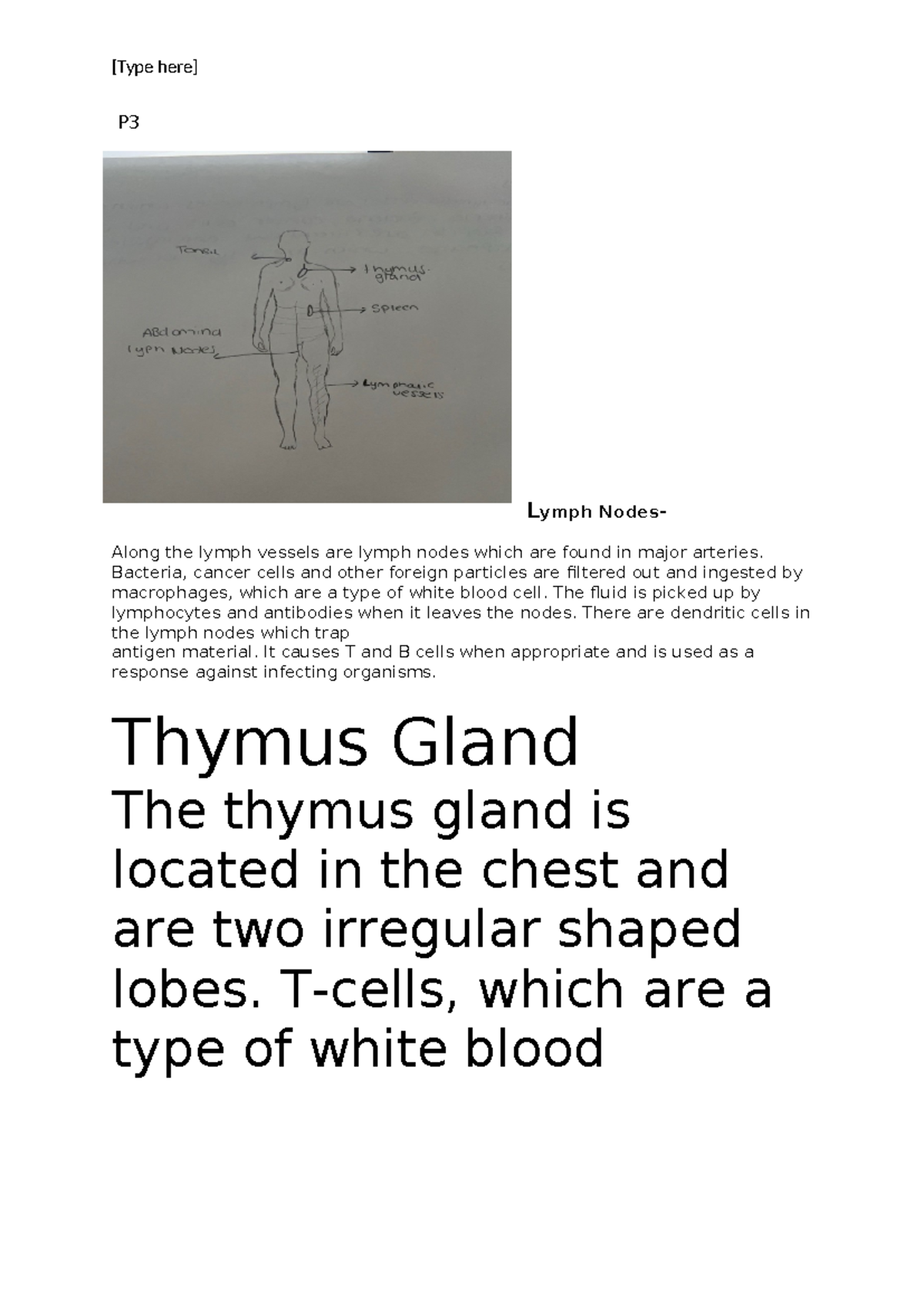 Assignment b unit 8 - OHNH - P Lymph Nodes- Along the lymph vessels are ...