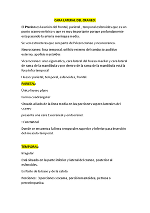 Manual DE Atractivo Facial Basico - MR. MANDIBULAS Manuel de Atractivo ...