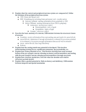 Nervous System Worksheet - Chapter 7 Study Guide - Nervous System ...