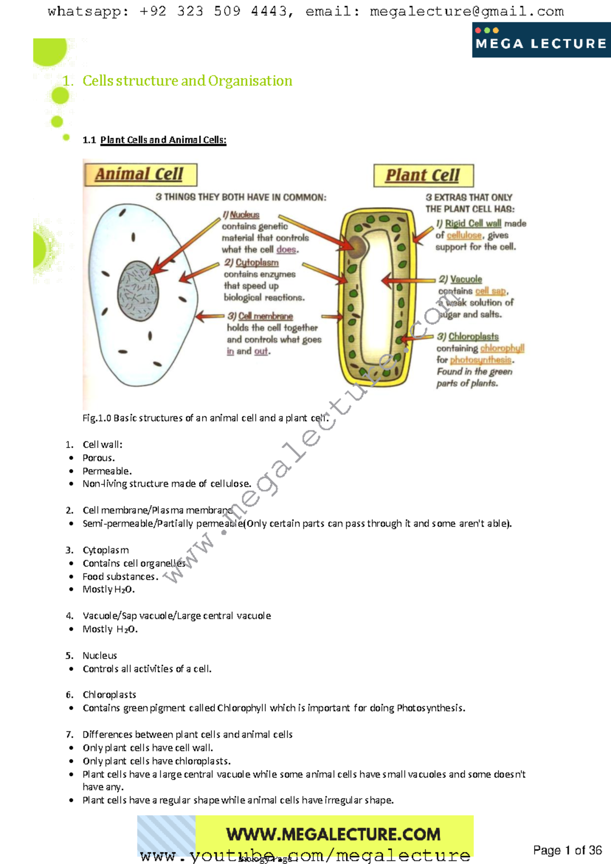 Biology O Level Notes - Cell and Molecular Biology - Karachi University ...