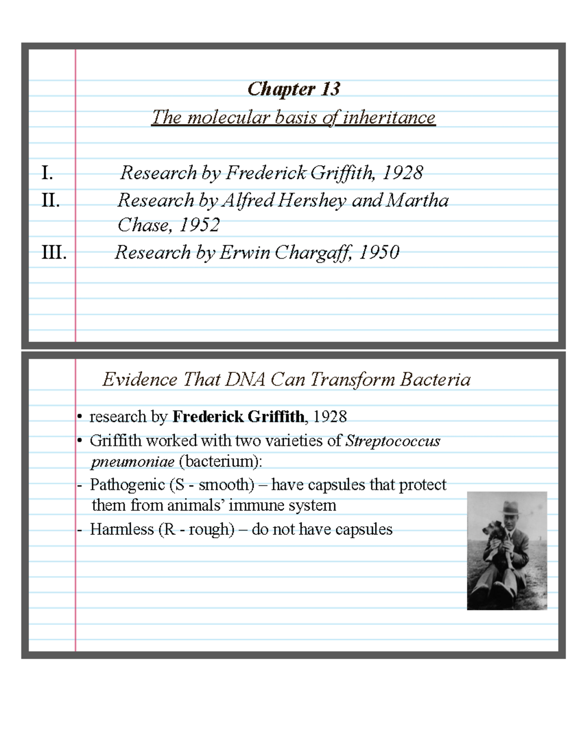 Ch 13 molecular basis of inheritance 2 2021 - Chapter 13 The molecular ...