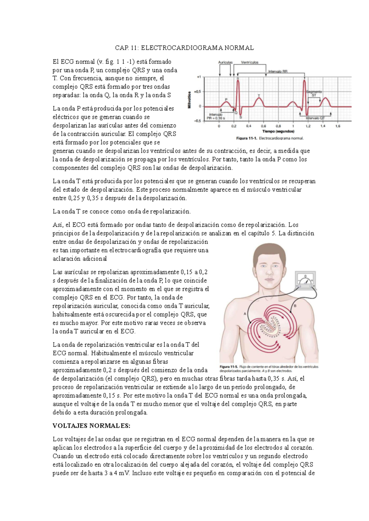 CAP 11 fisio - CAP. 11: ELECTROCARDIOGRAMA NORMAL El ECG normal (v. fig. 1 1 - 1) está formado ...