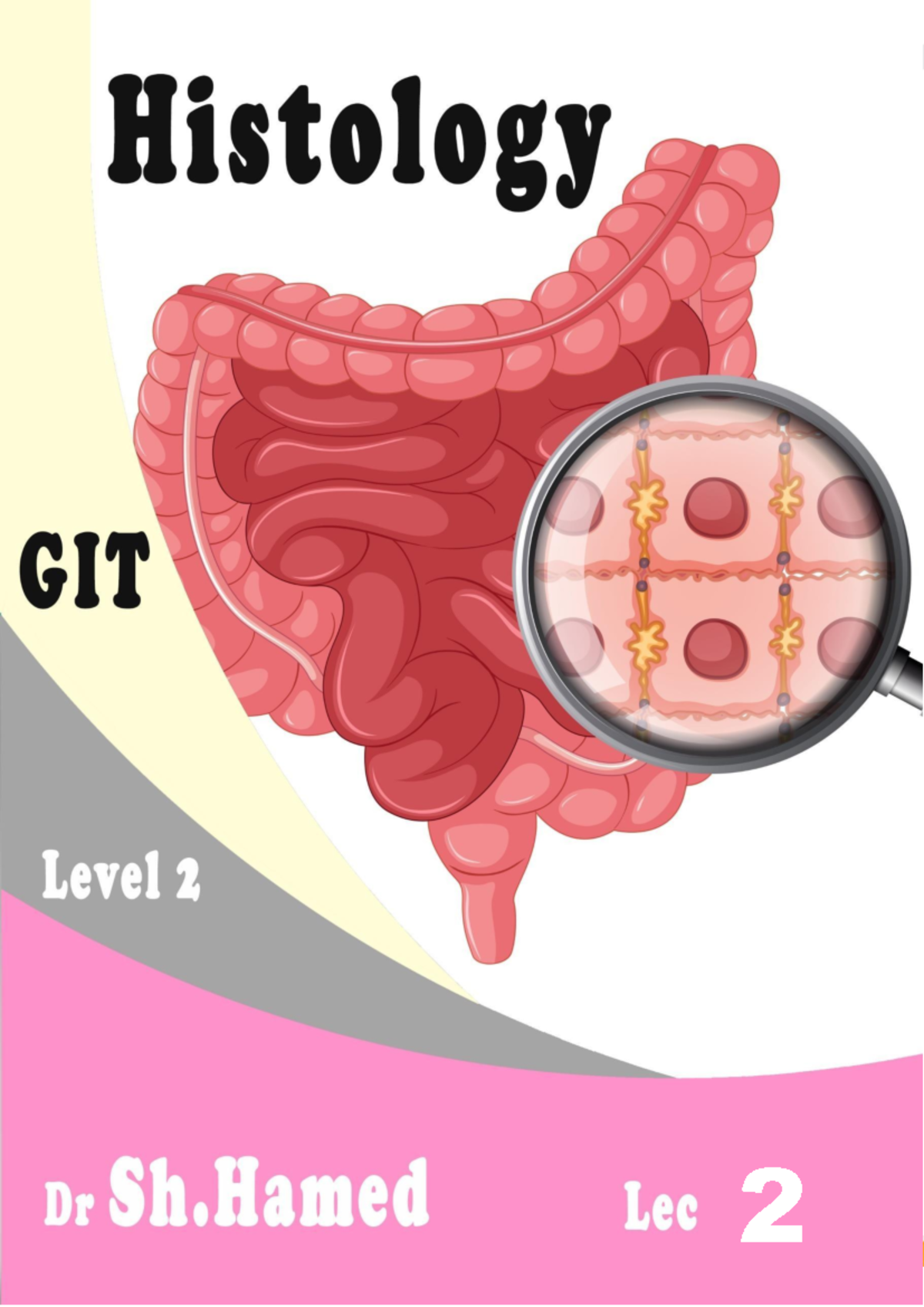 Taenia Coli Histology