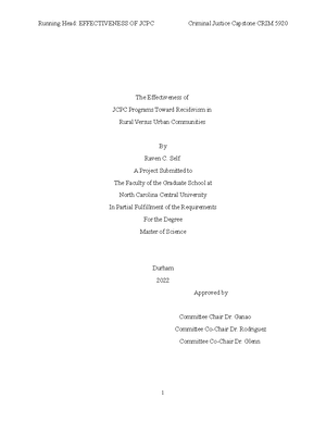 Program Analysis Raven Self - PROGRAM ANALYSIS The following section is ...