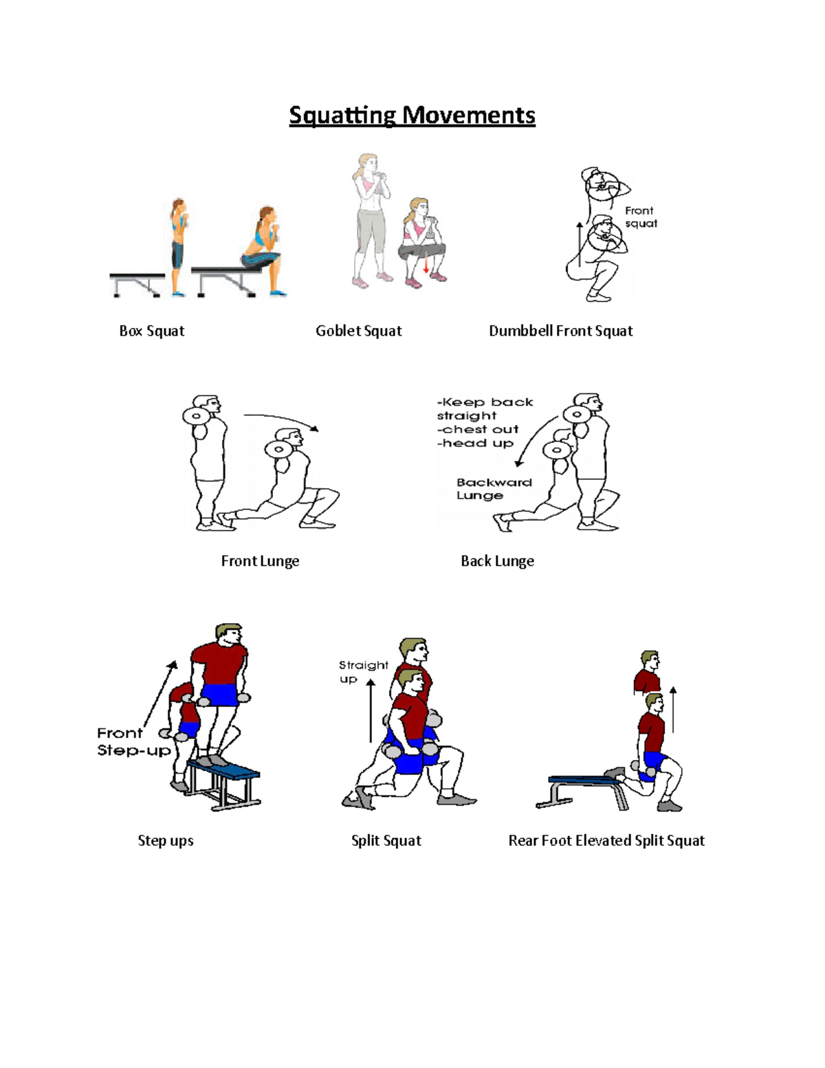 Movement Library - Squatting Movements Box Squat Goblet Squat Dumbbell ...