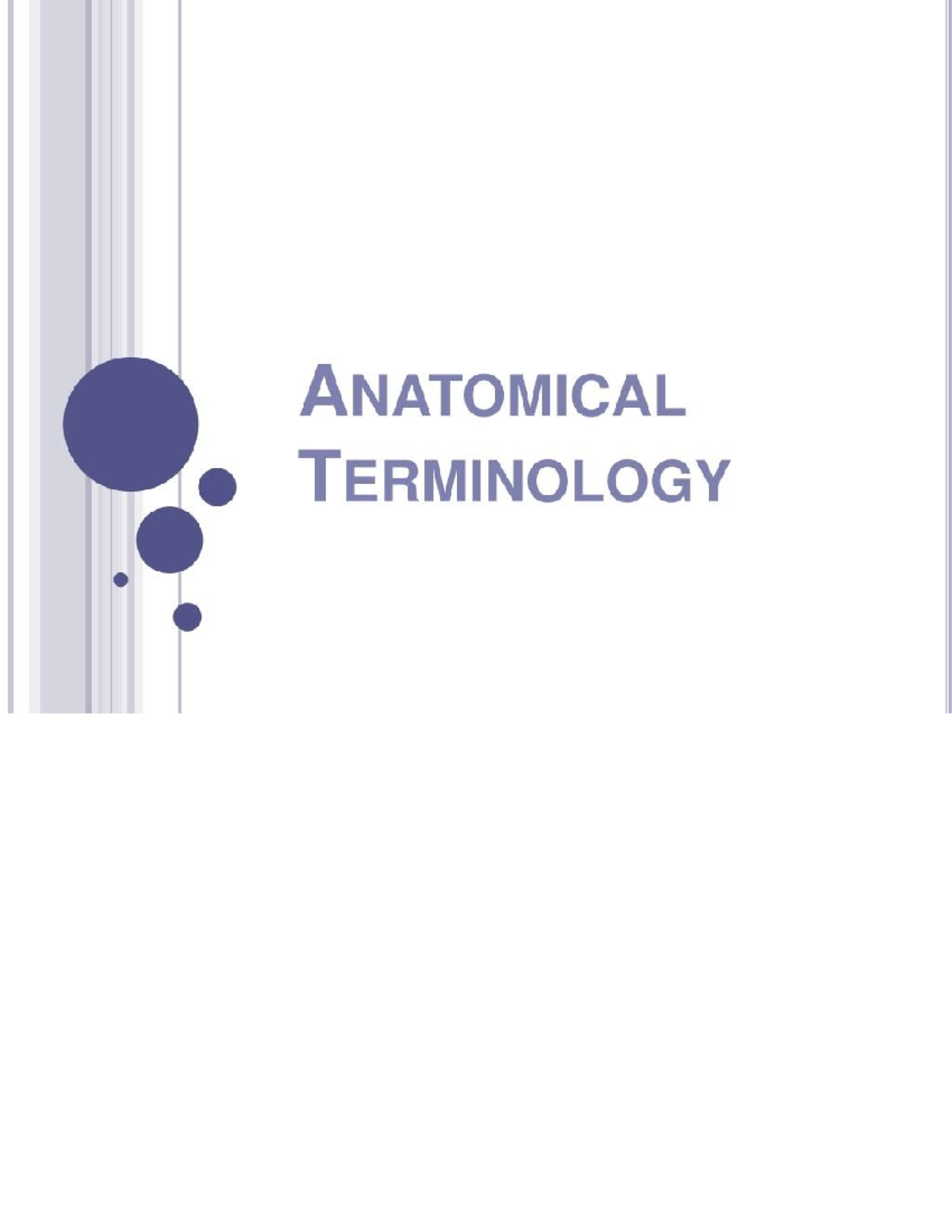 Basic anatomical terminology notes - Doctor of Pharmacy (PharmD) - Studocu