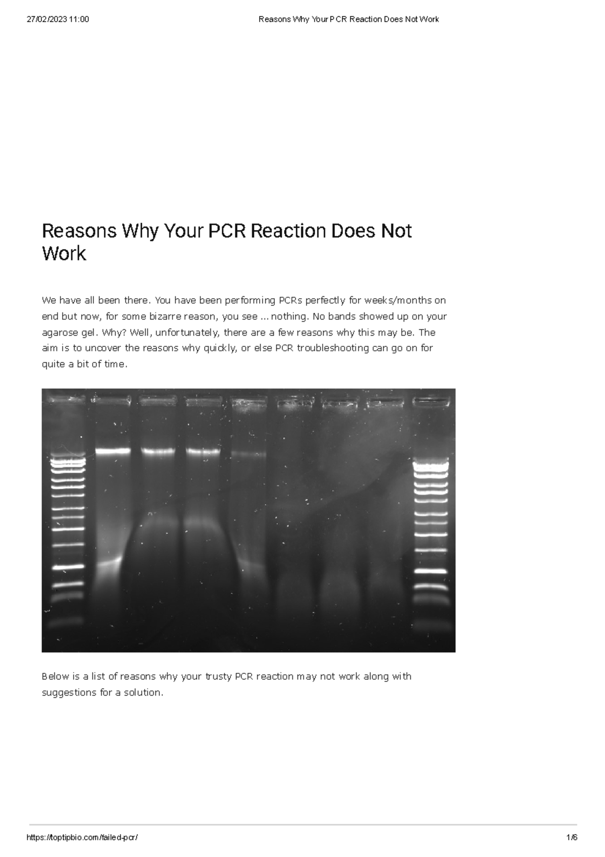 Reason-Why-PCR -Does-Not-Work - Reasons Why Your PCR Reaction Does Not ...