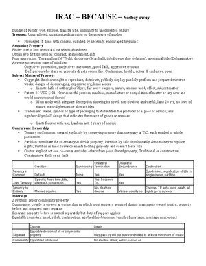 Property Attack Outline - Late Email Guy Trespass - 1. An intentional ...