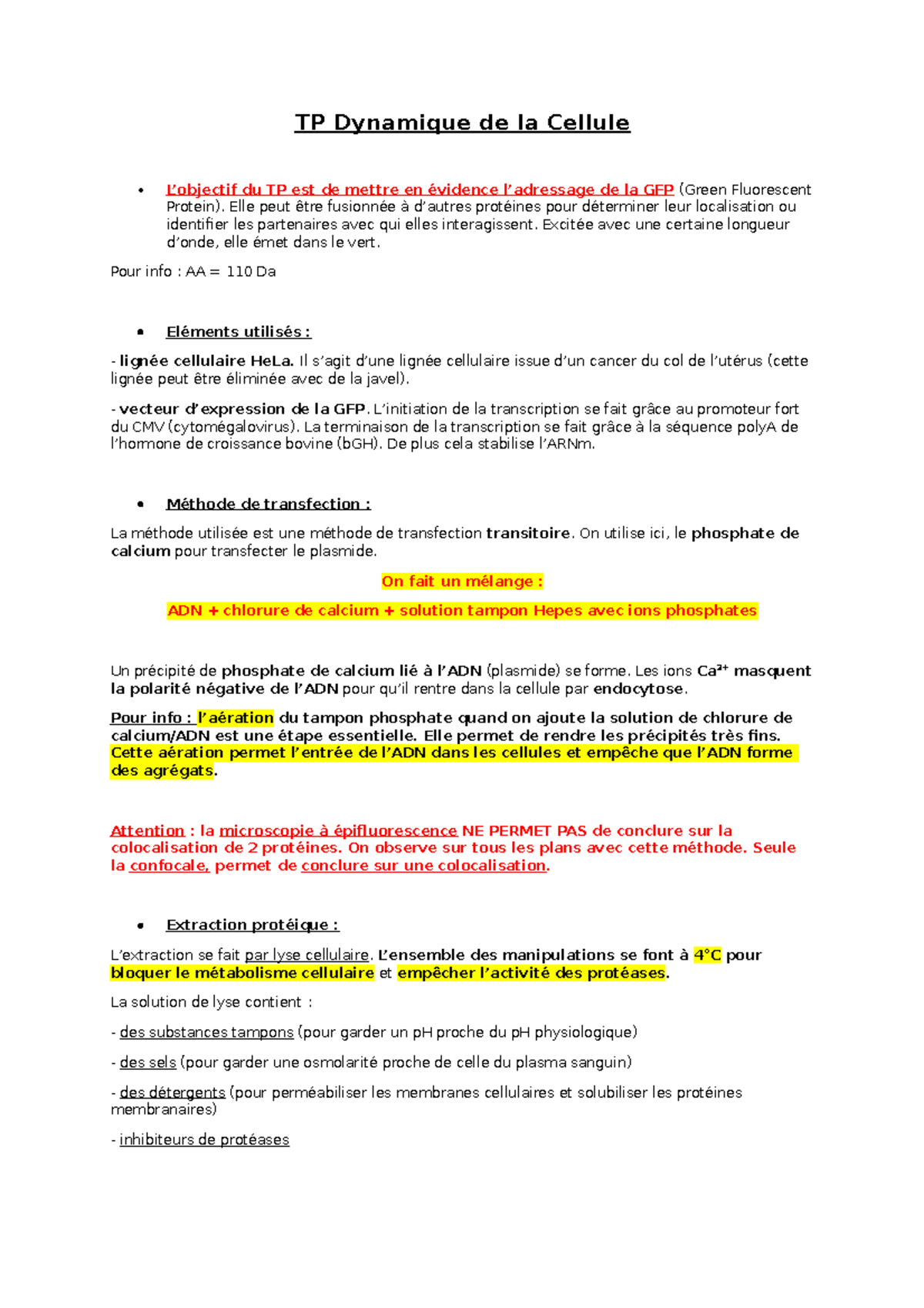 TP Dynamique de la Cellule L3 biologie - TP Dynamique de la Cellule L’objectif du TP est de ...