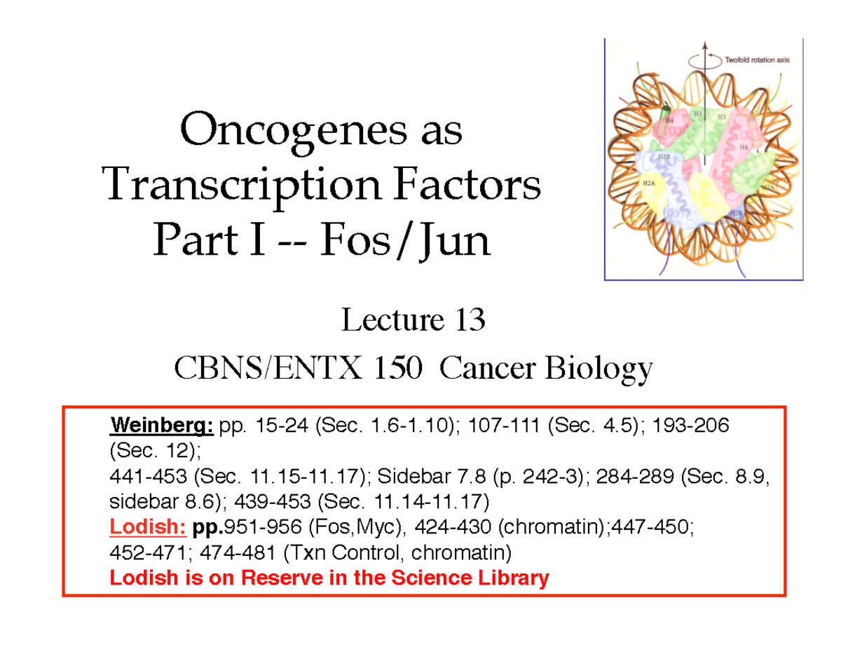 L13 Pt1 CBS14 - Dr. Sladek - Oncogenes as Transcription Factors Part I ...