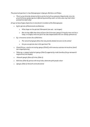 BIOL2021 Prac Exam - Notes on practical exam - The big 8 (Phylum ...