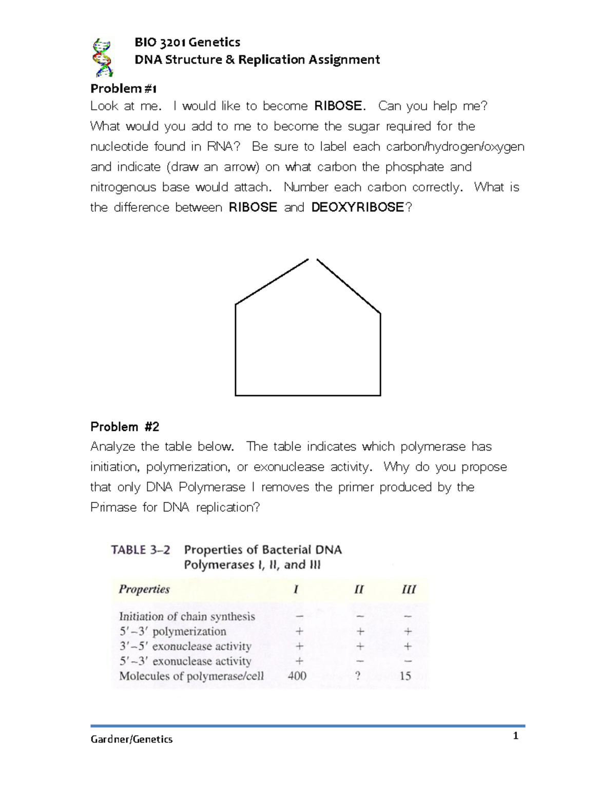 DNA Structure and Replication Assignment - DNA Structure & Replication ...