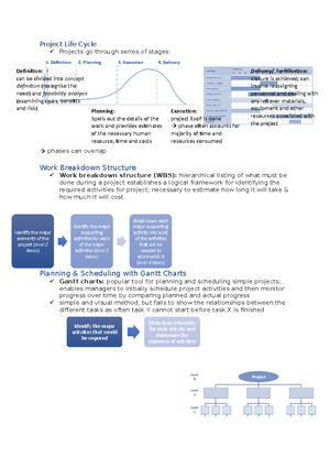Describing the project process - Making sense of the project as a ...