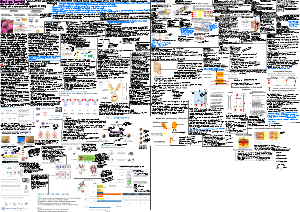 Good Notes - Biology for Biomedical Science: Cellular Processes and ...