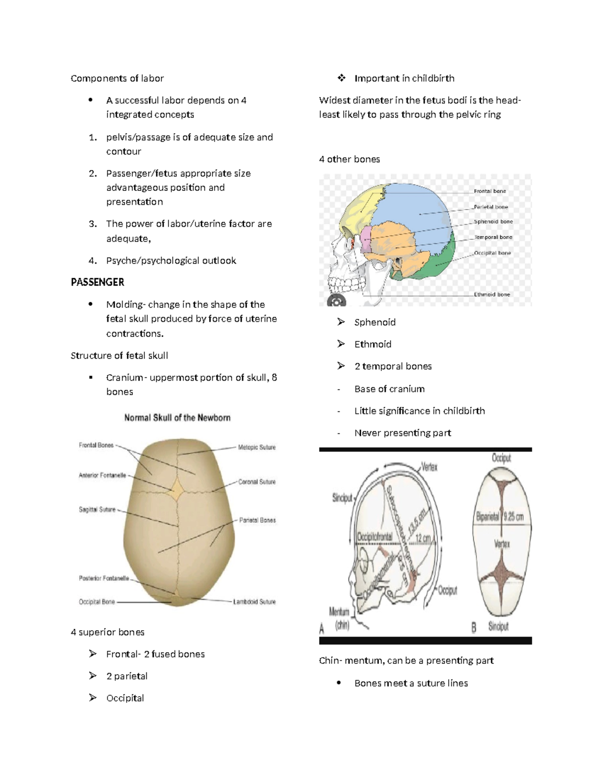 Components-of-Labor - components of labor - Components of labor A ...