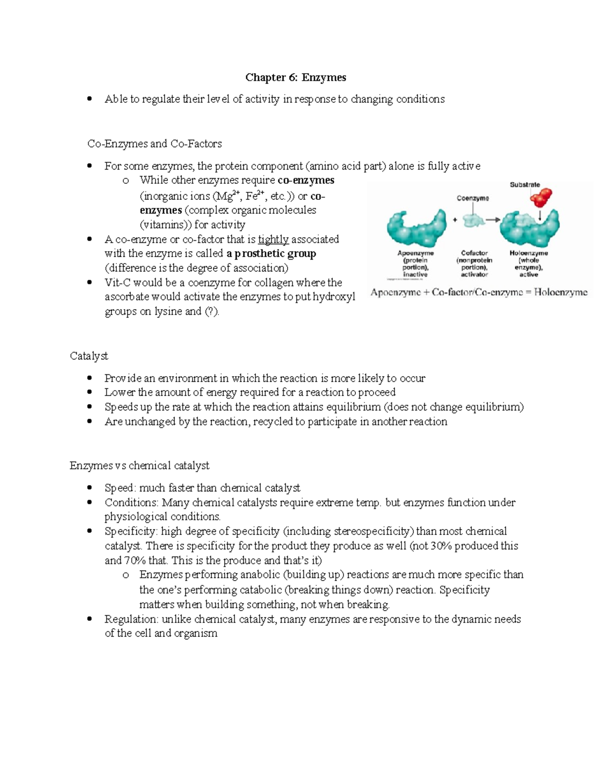 Chapter 6 - Scott Napper Notes - Chapter 6: Enzymes Able to regulate ...