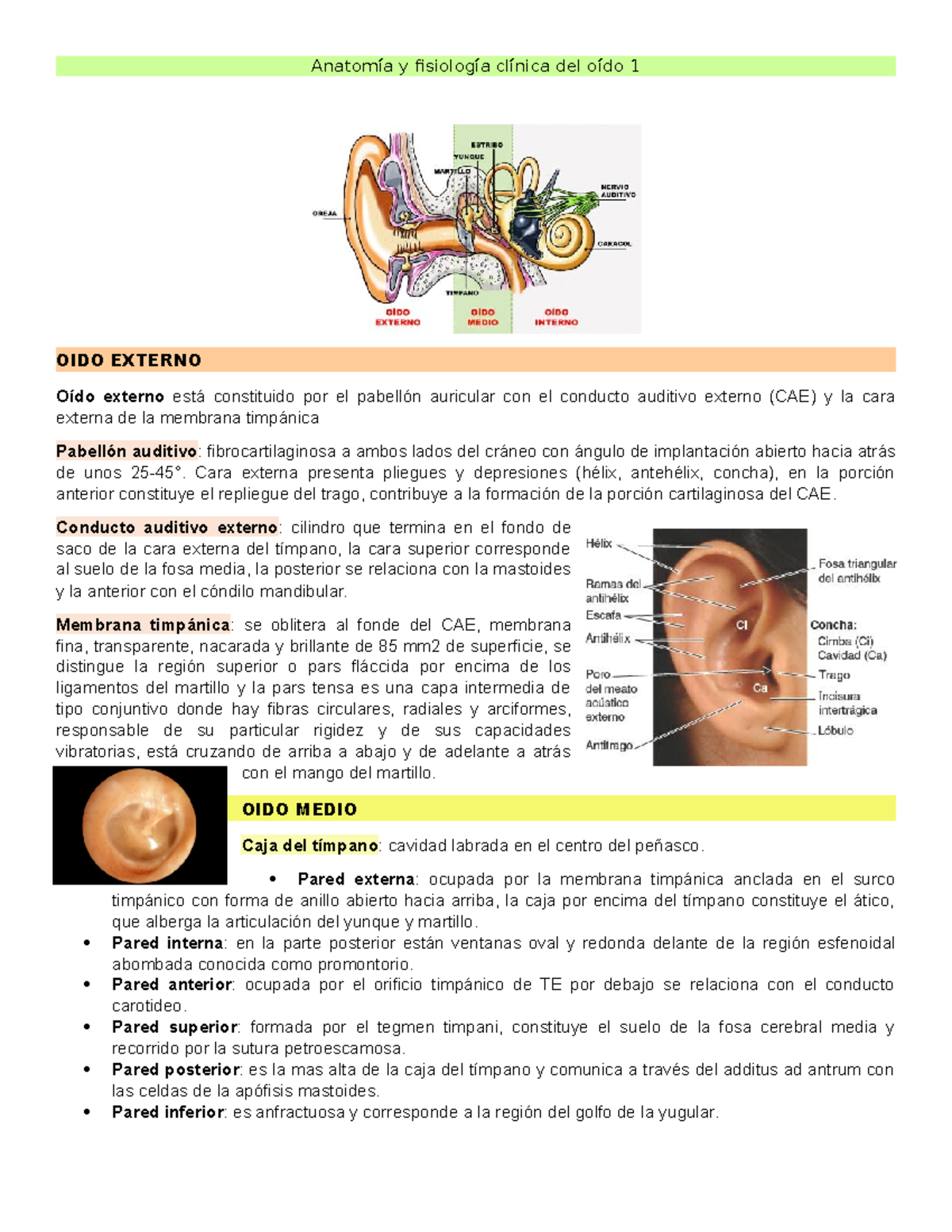 Anatomía y fisiología clinica del oído 1 - Anatomía y fisiología ...
