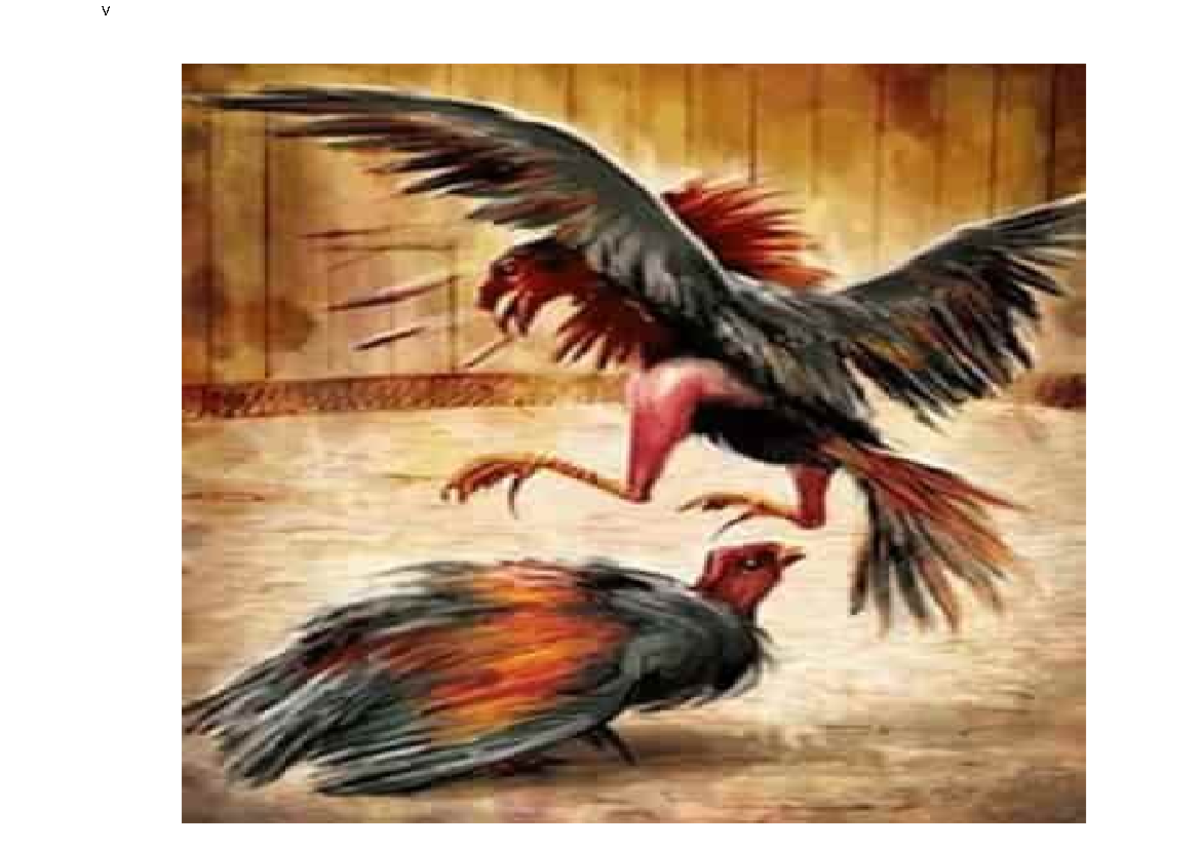 Gallito - sddsd - Seguridad Industrial - V V - Studocu