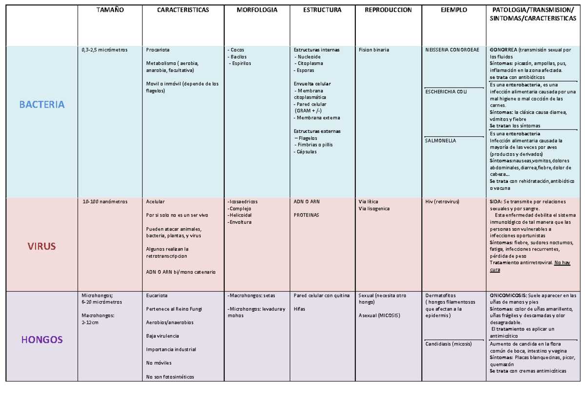 Cuadro Hongo Virus Y Bacteria - TAMA—O CARACTERISTICAS MORFOLOGIA ESTRUCTURA REPRODUCCION ...