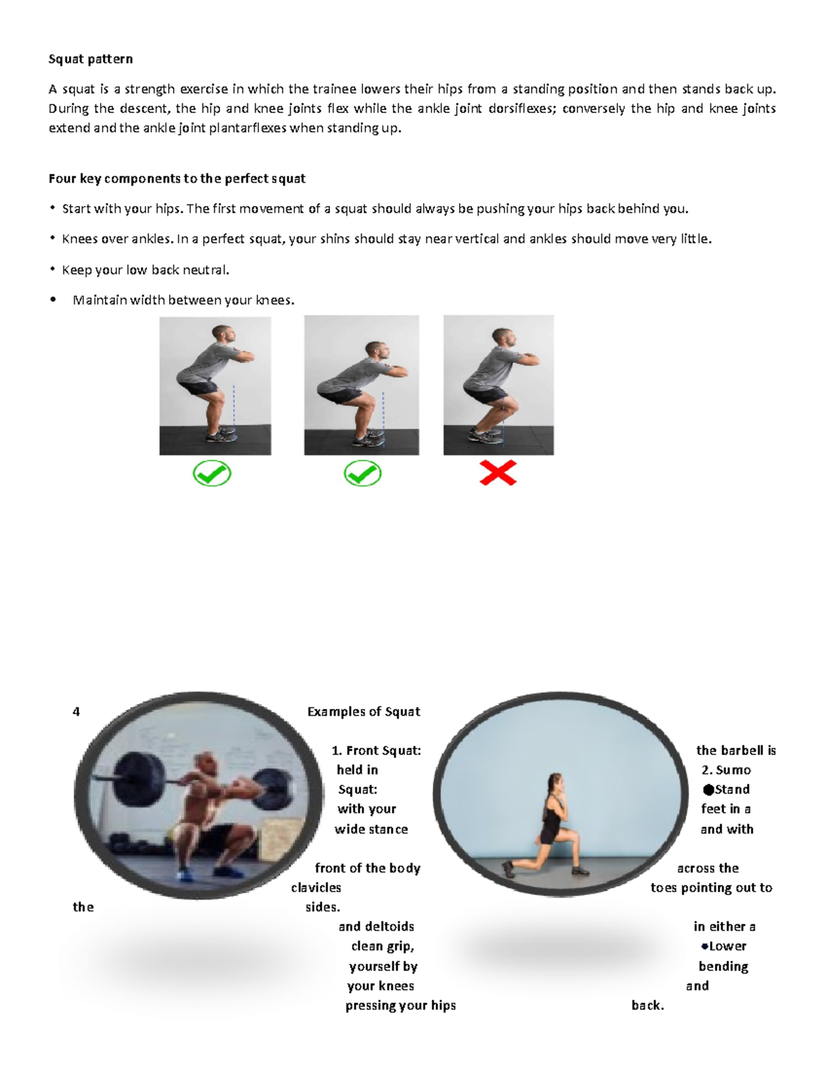 Russell - dshdfjfjfgjfg - Squat pattern A squat is a strength exercise ...