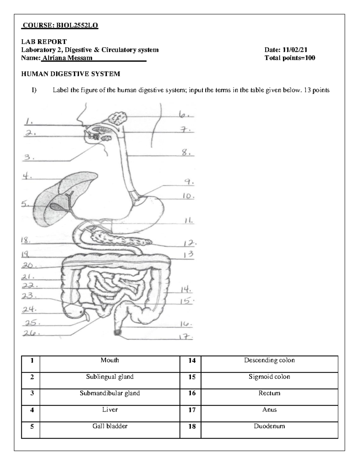 Lab 2, Digestive Circulatory system- Alriana Messam - COURSE ...