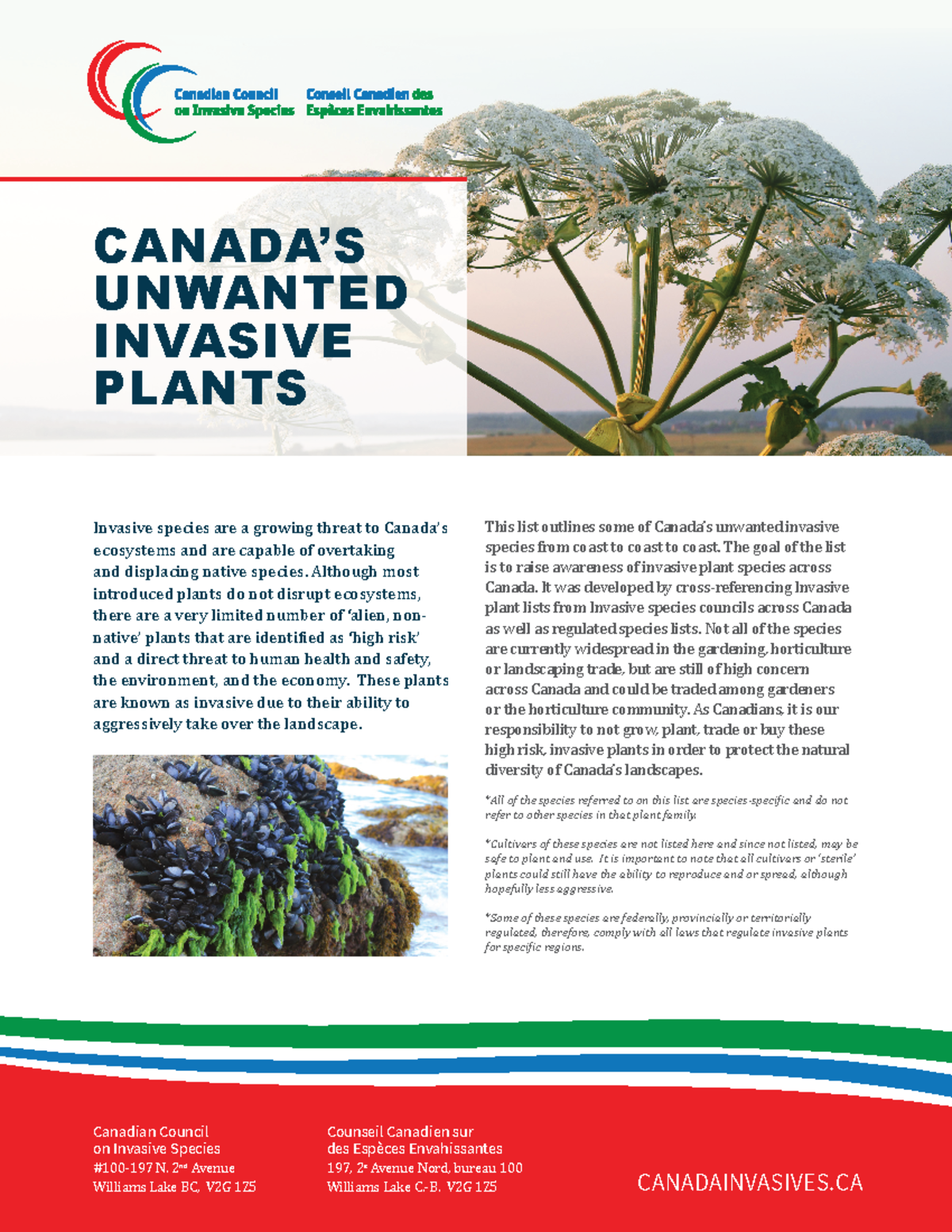 2019-08-02 Canada-CCIS-Invasive-Species-List Final - Invasive species ...