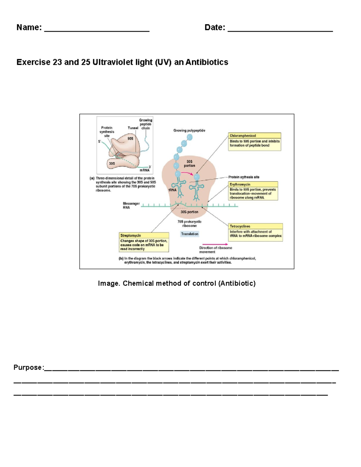 Exercise 25 Antibiotics - Name: _______________________ Date ...