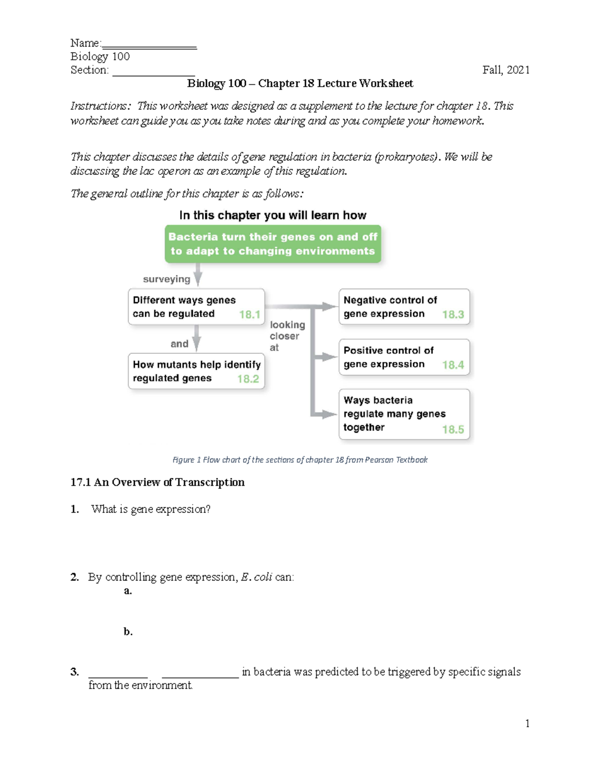 Chapter 18 Lecture Worksheet - Biology 100 Section: ______________ Fall, 2021 Biology 100 ...