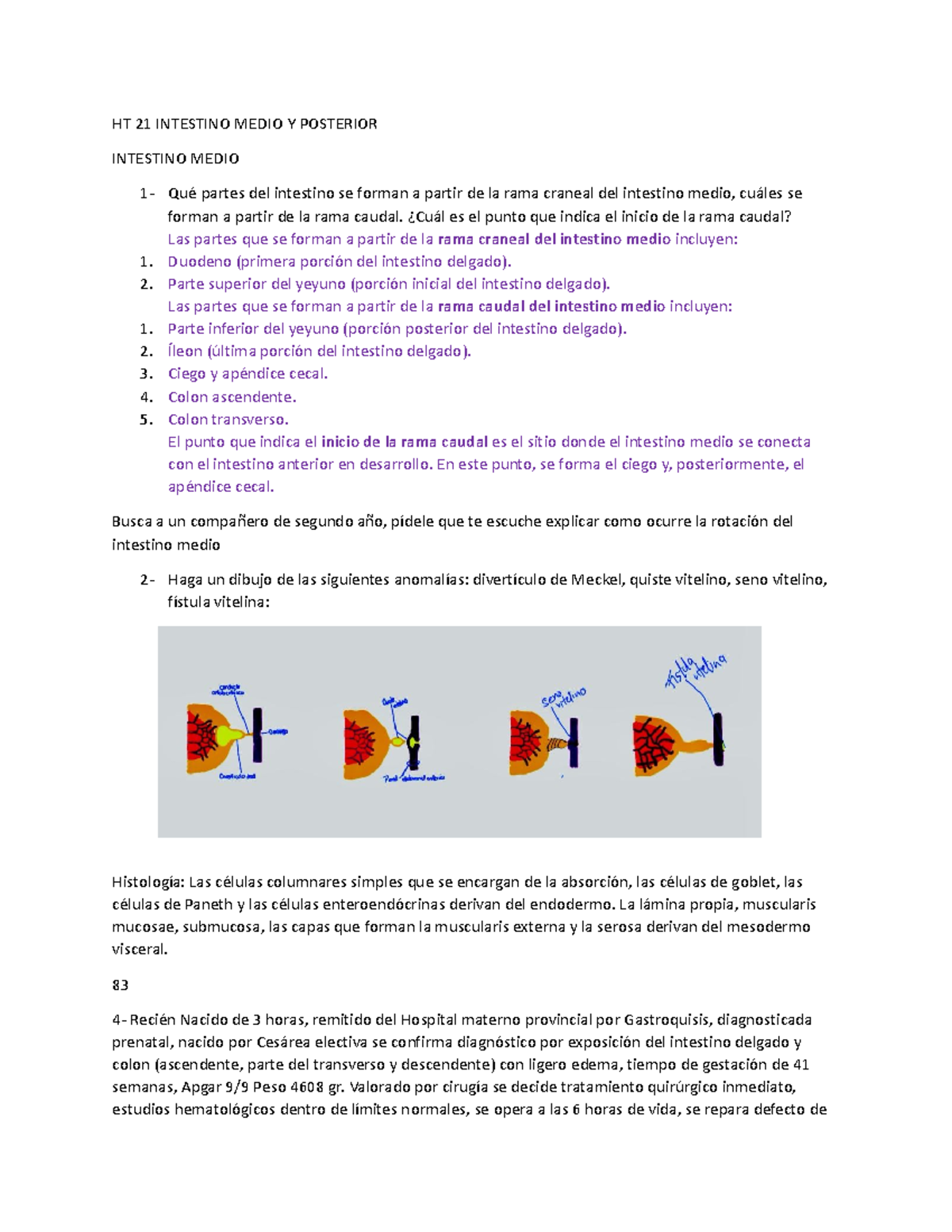 aparato digestivo - HT 21 INTESTINO MEDIO Y POSTERIOR INTESTINO MEDIO 1 ...