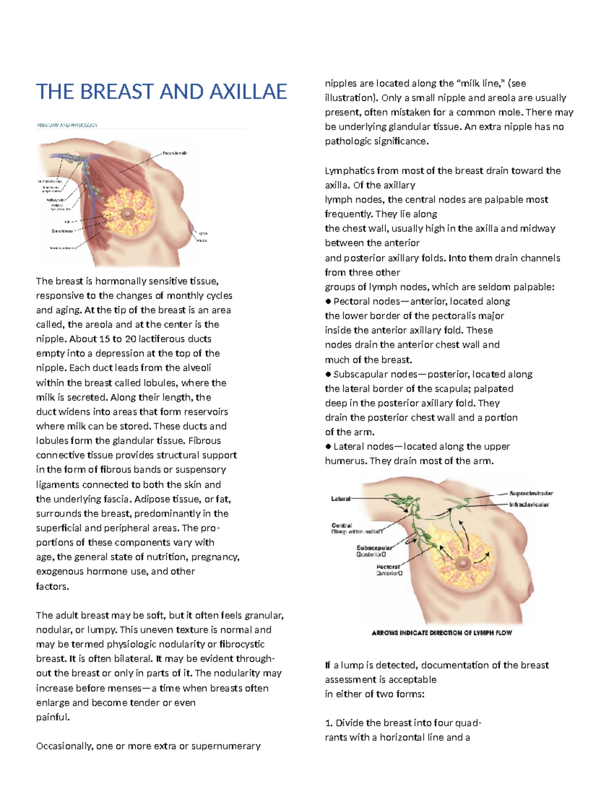 THE Breast AND Axillae - NOTES - THE BREAST AND AXILLAE The breast is ...