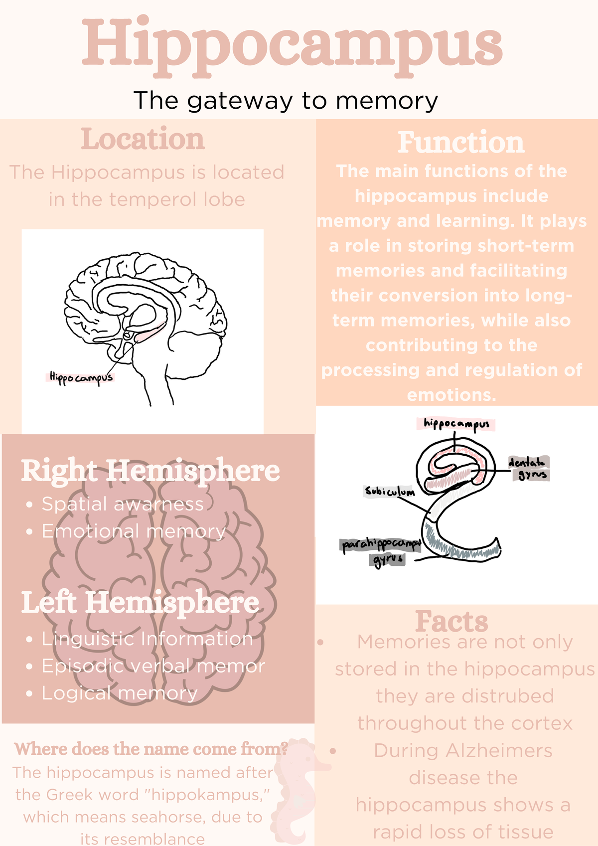 Hippocampus - It plays a role in storing short-term memories and ...