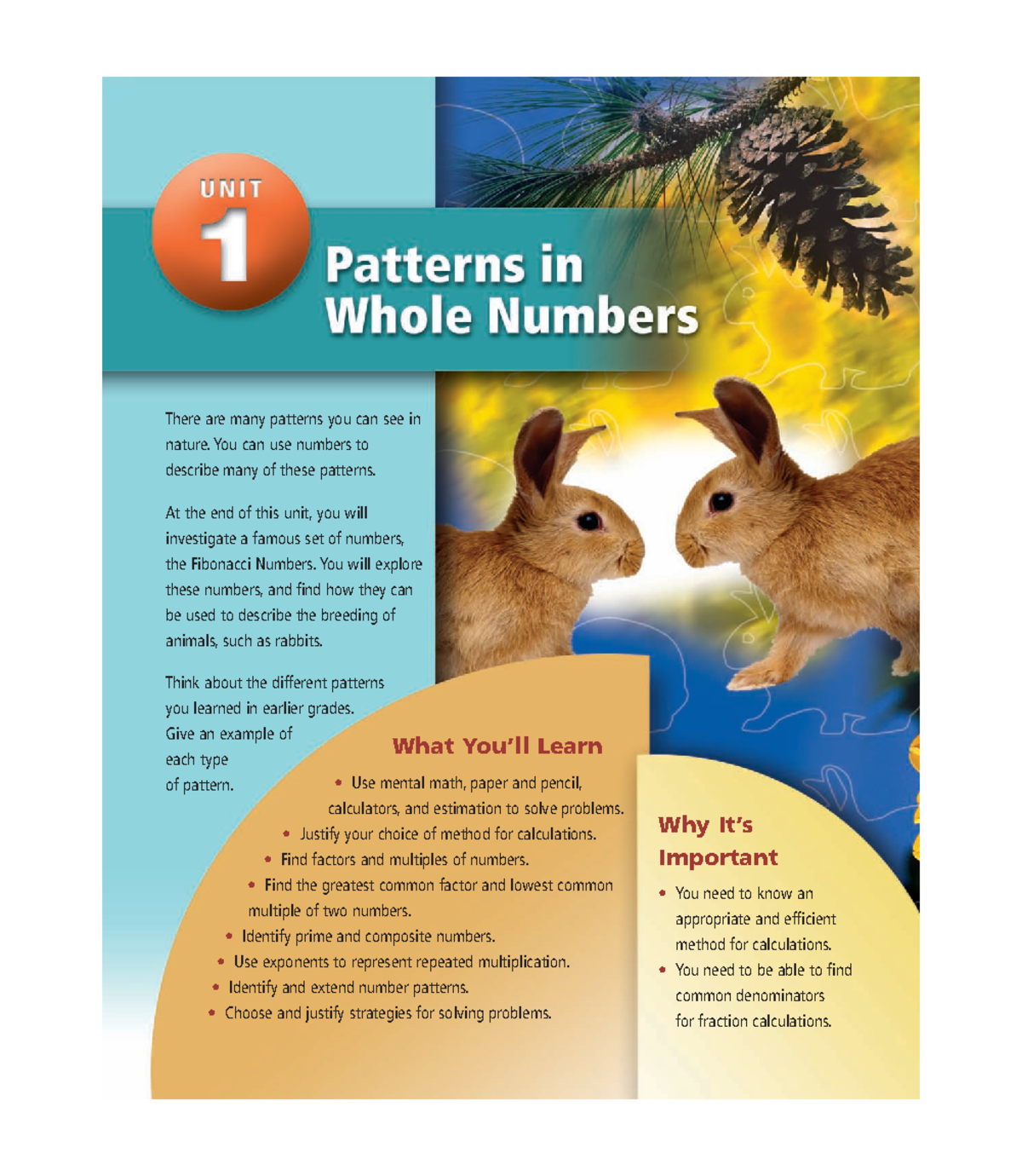 1 Patterns in Whole Numbers unit01 - There are many patterns you can ...