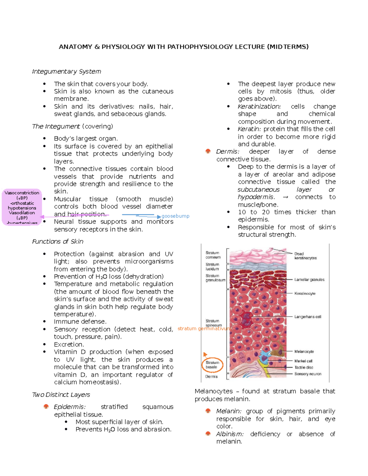 Anatomy and Physiology - ANATOMY & PHYSIOLOGY WITH PATHOPHYSIOLOGY ...