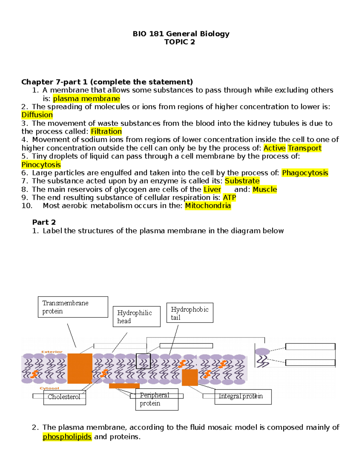WEEK 4-HW- CH 7 worksheet - BIO 181 General Biology TOPIC 2 Chapter 7 ...