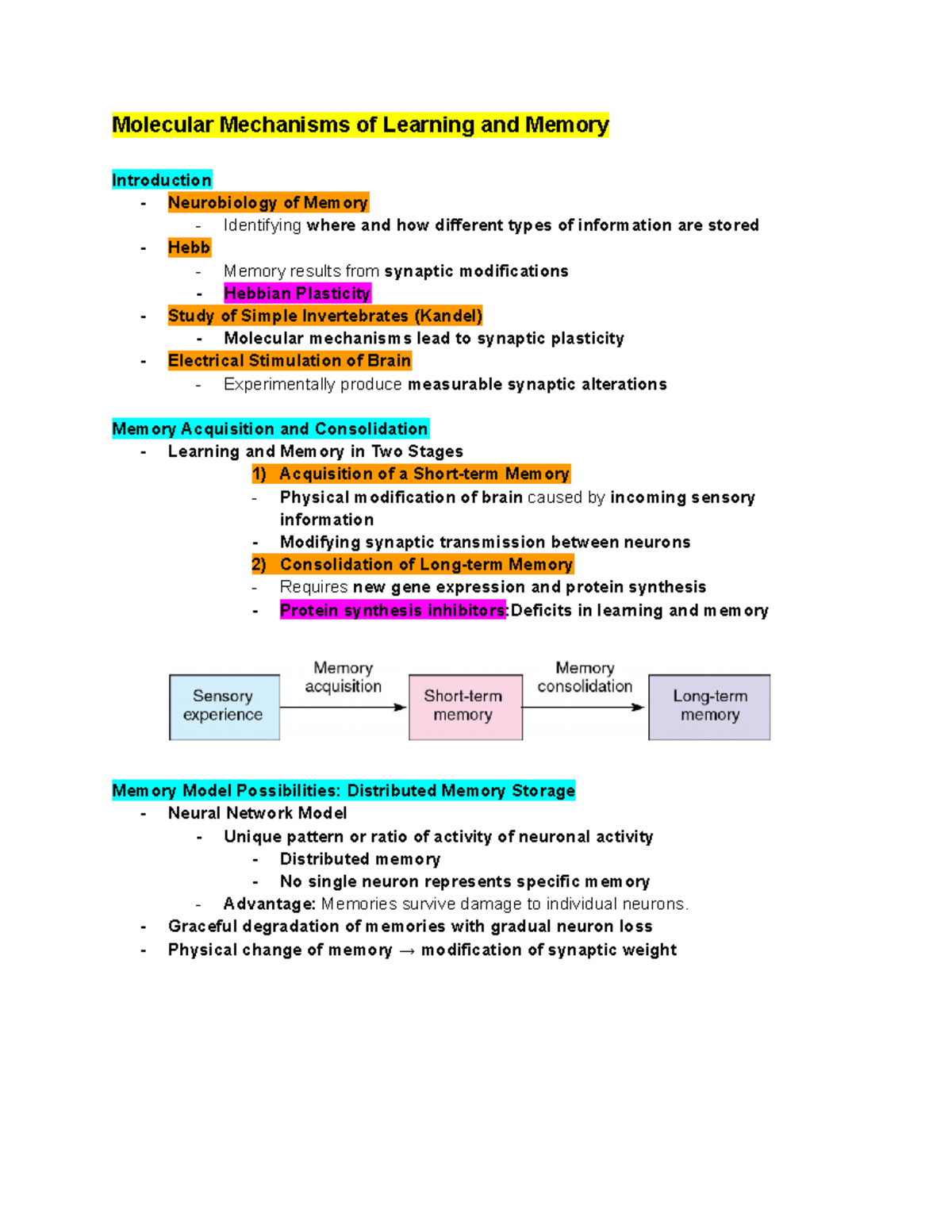CBNS 106 Lec. 7 ( Molecular Mechanisms of Learning and Memory ...