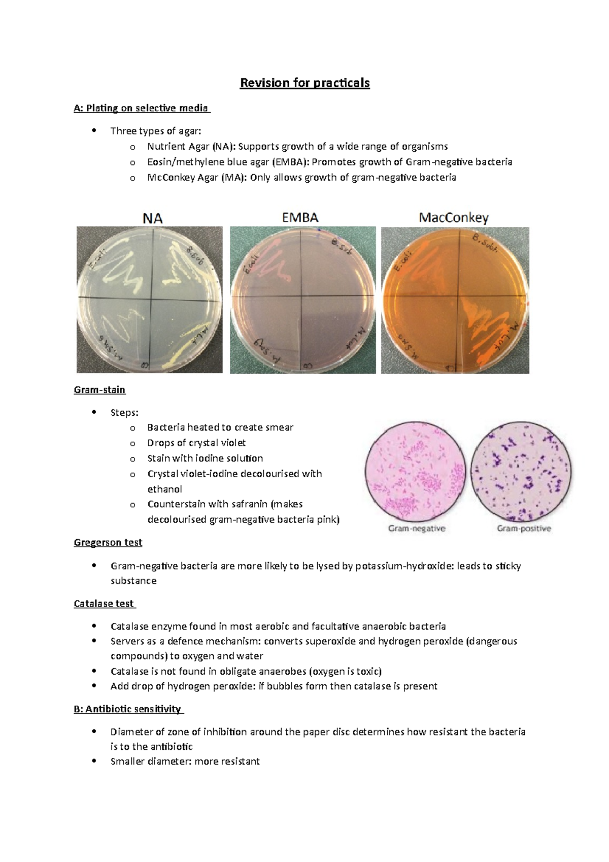 Practicals revision - Revision for practicals A: Plating on selective media Three types of agar ...