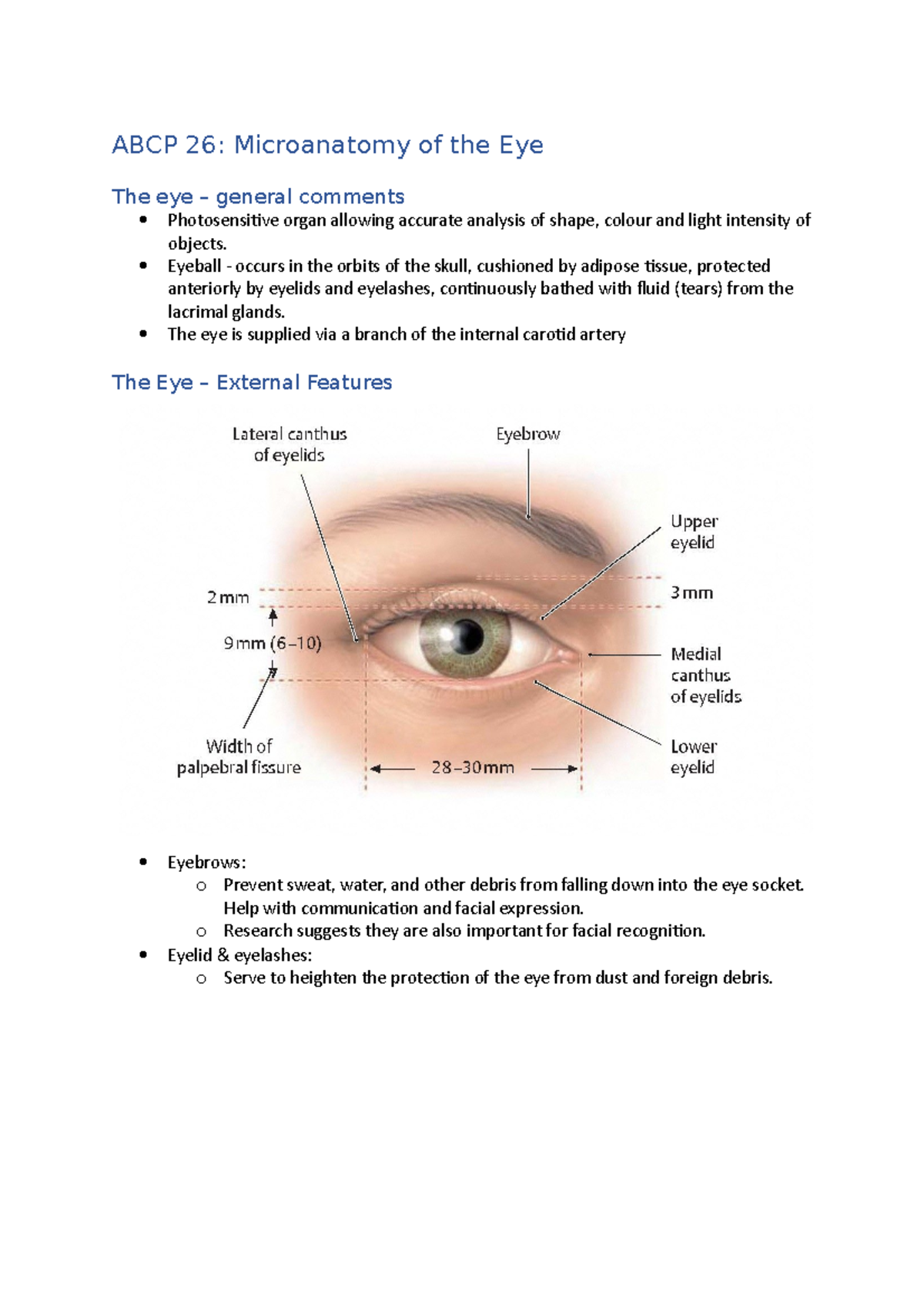 ABCP 26 - Eye - Lecture notes 26 - ABCP 26: Microanatomy of the Eye The ...