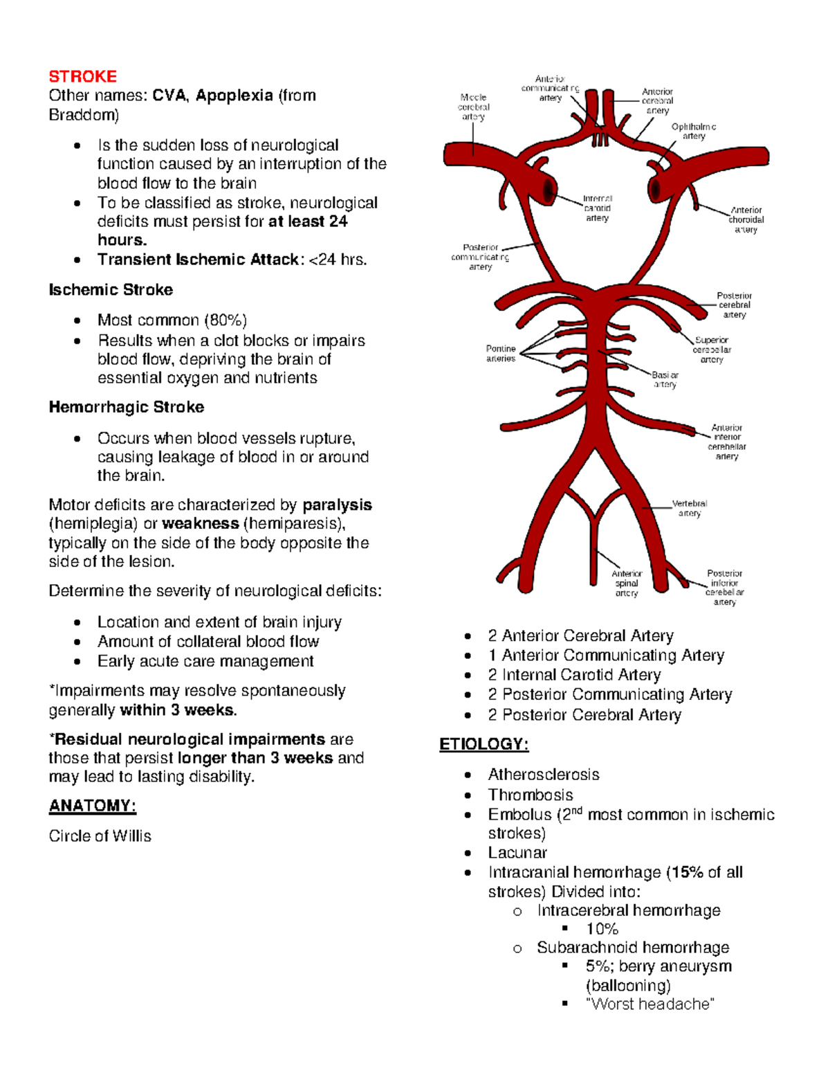 Midterms Neuroanatomy for your Examinations - STROKE Other names: CVA ...