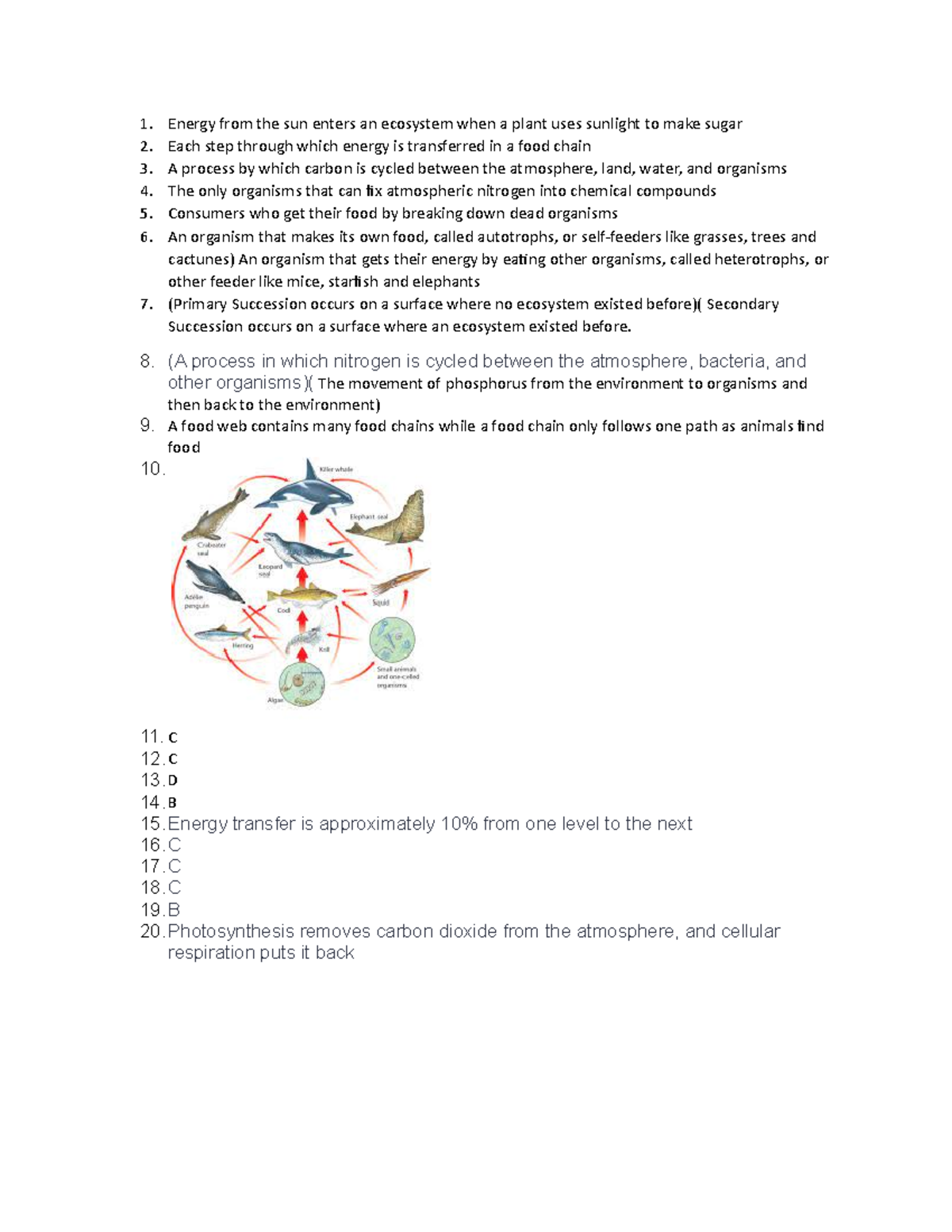 5 and 6 review' - helps so much - 1. Energy from the sun enters an ...