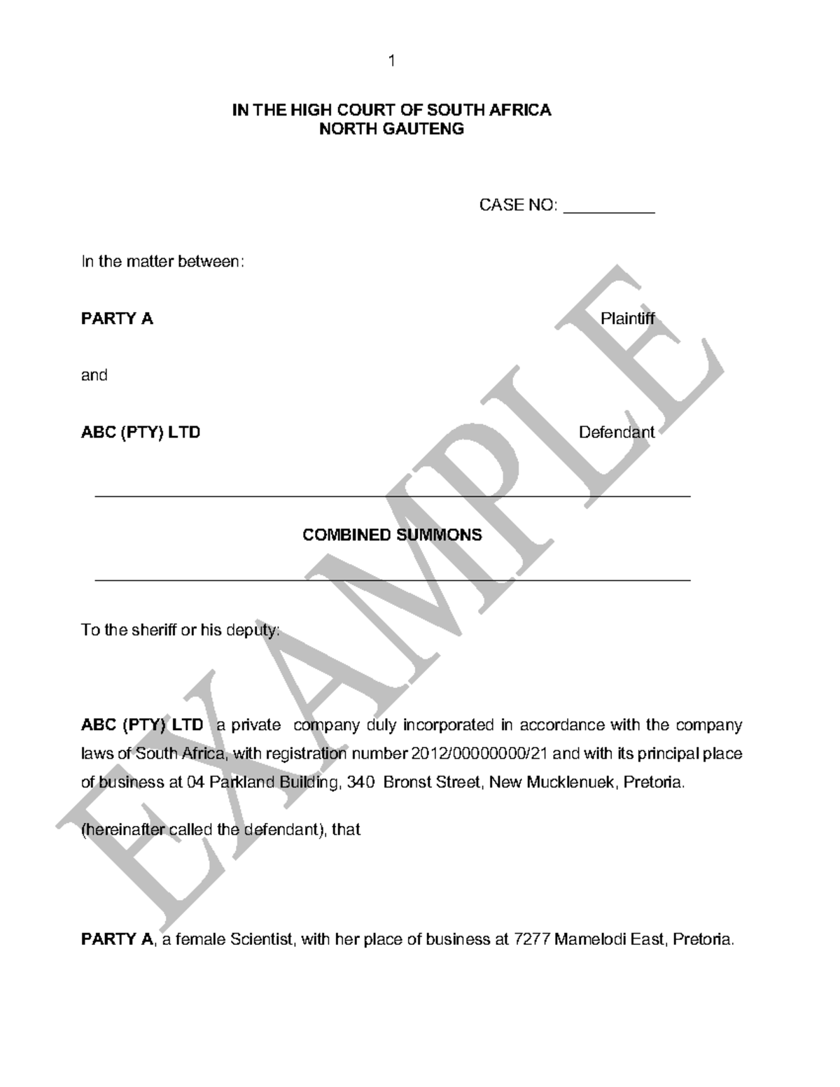 Summons Example - IN THE HIGH COURT OF SOUTH AFRICA NORTH GAUTENG CASE ...