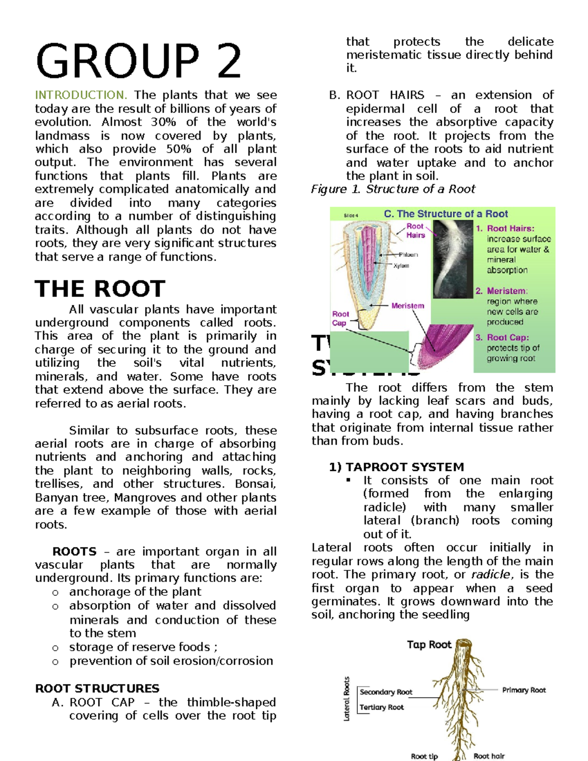 Reviewer-in-Botany - Summary General Botany - GROUP 2 INTRODUCTION. The ...